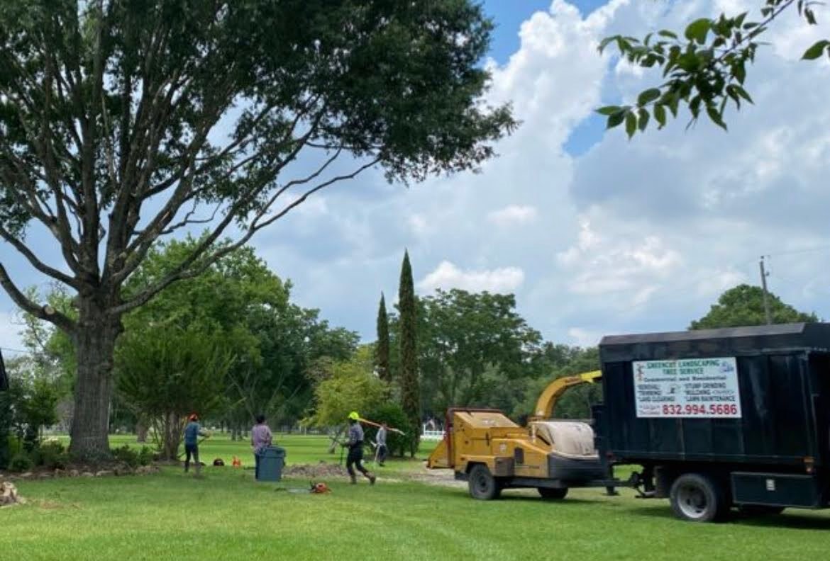 Home - Green Cut Tree Services